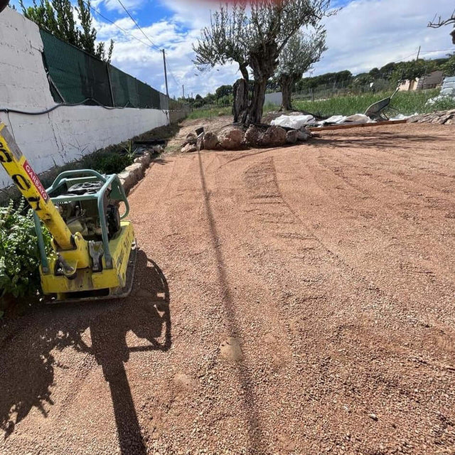 Jabre o Sauló en caminos y senderos de parques en Barcelona y Madrid
